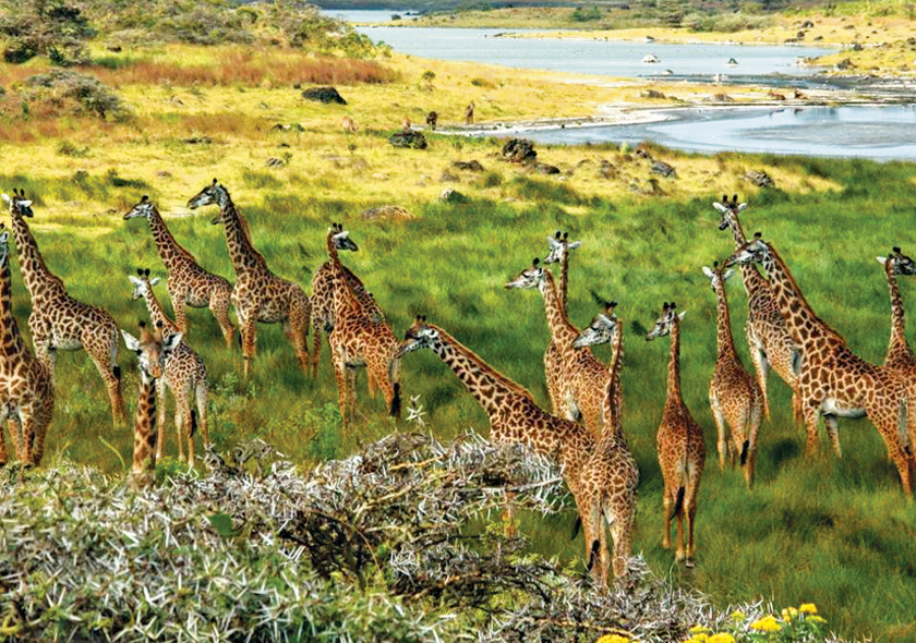 Arusha National park – Mrunde Africani Tours