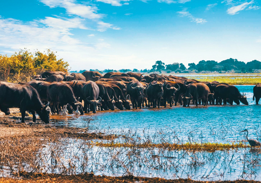 Lake Manyara National Park – Mrunde Africani Tours